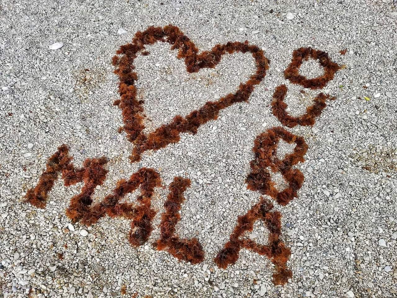 Photo Gallery – Zivogosce Mala Duba