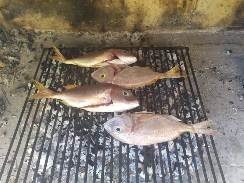 Photo Gallery – Zivogosce Mala Duba